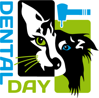 Proveto | Bringing knowledge into practice