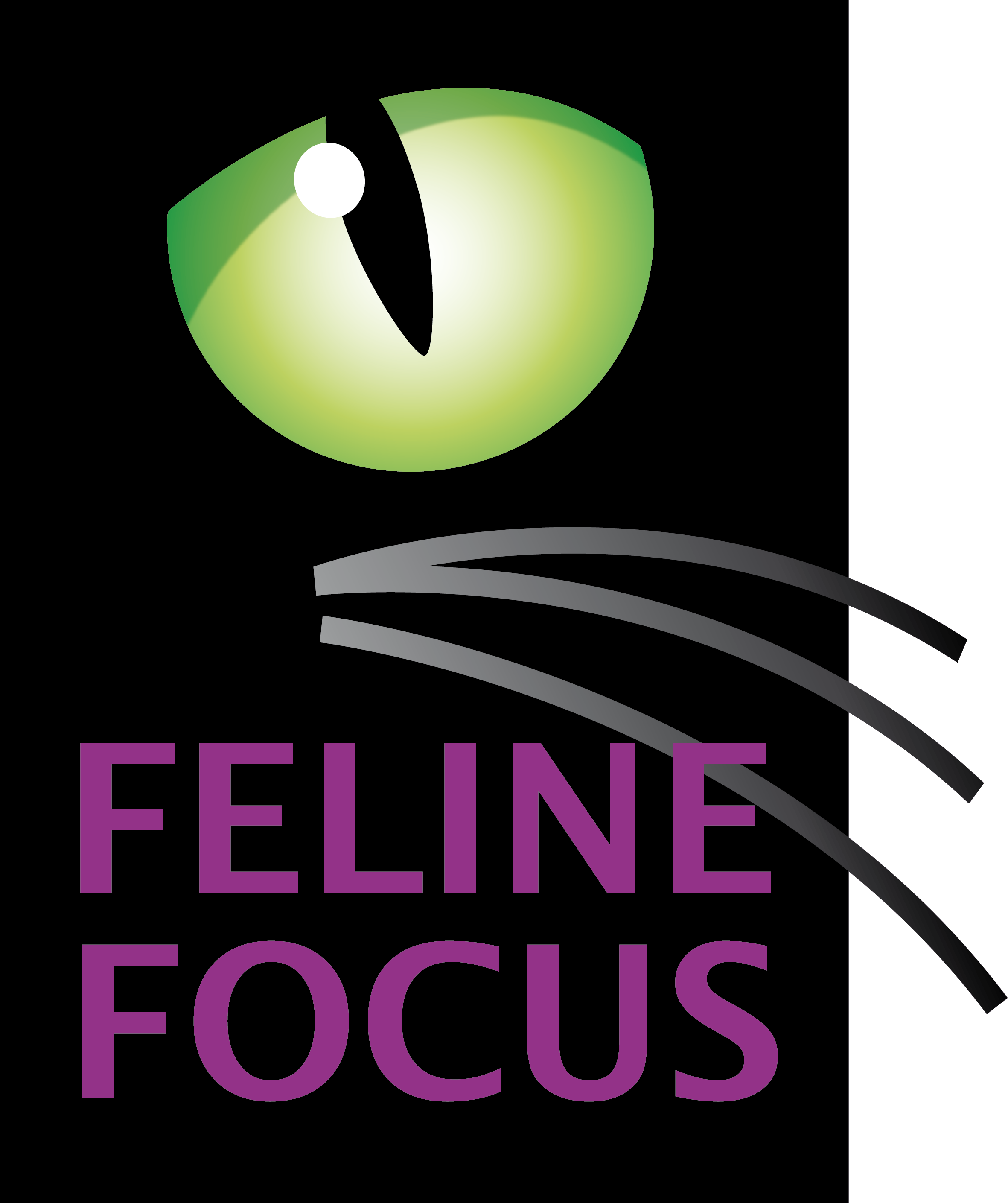 Proveto | Bringing knowledge into practice