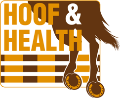 Proveto | Bringing knowledge into practice